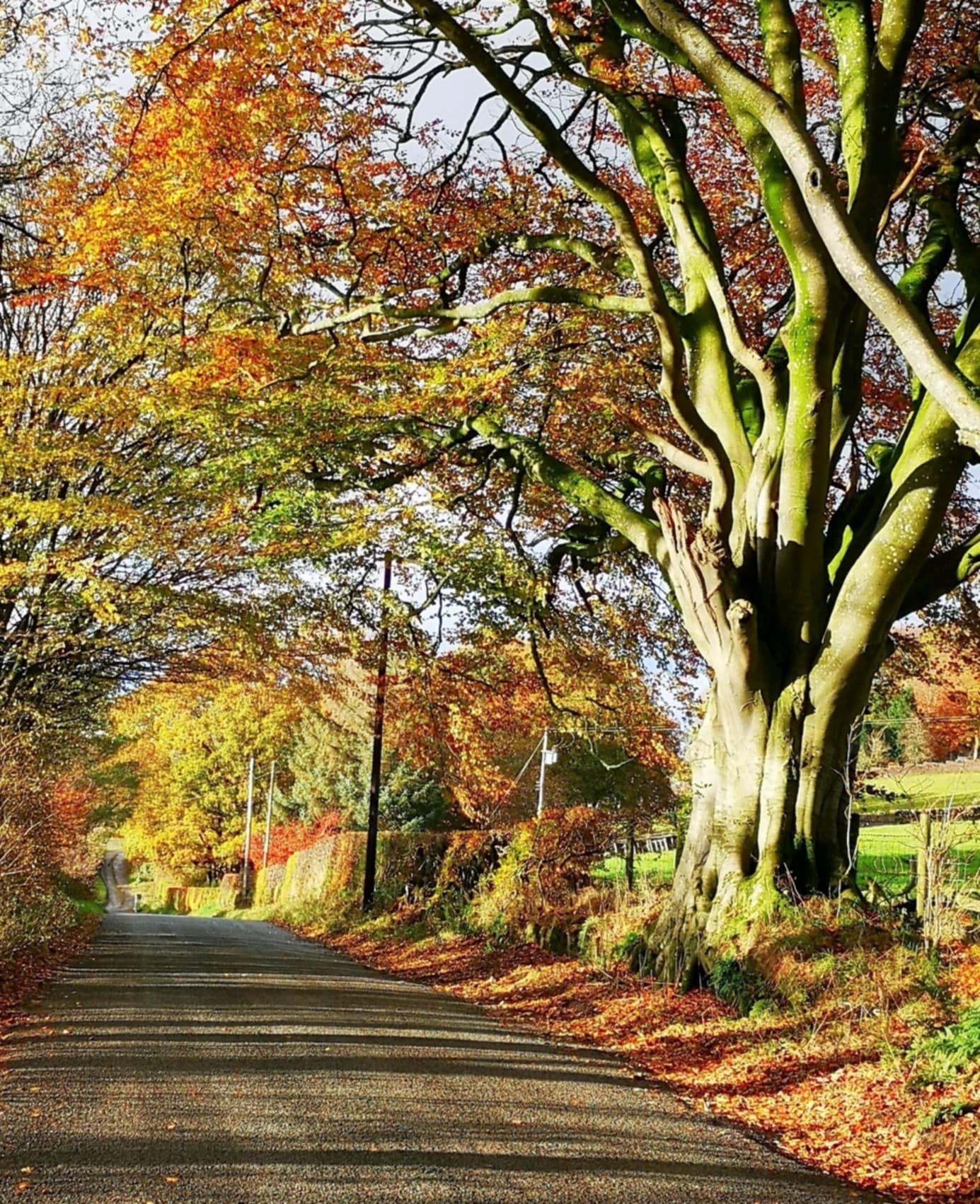 Community Centre – Thornhill Community Council